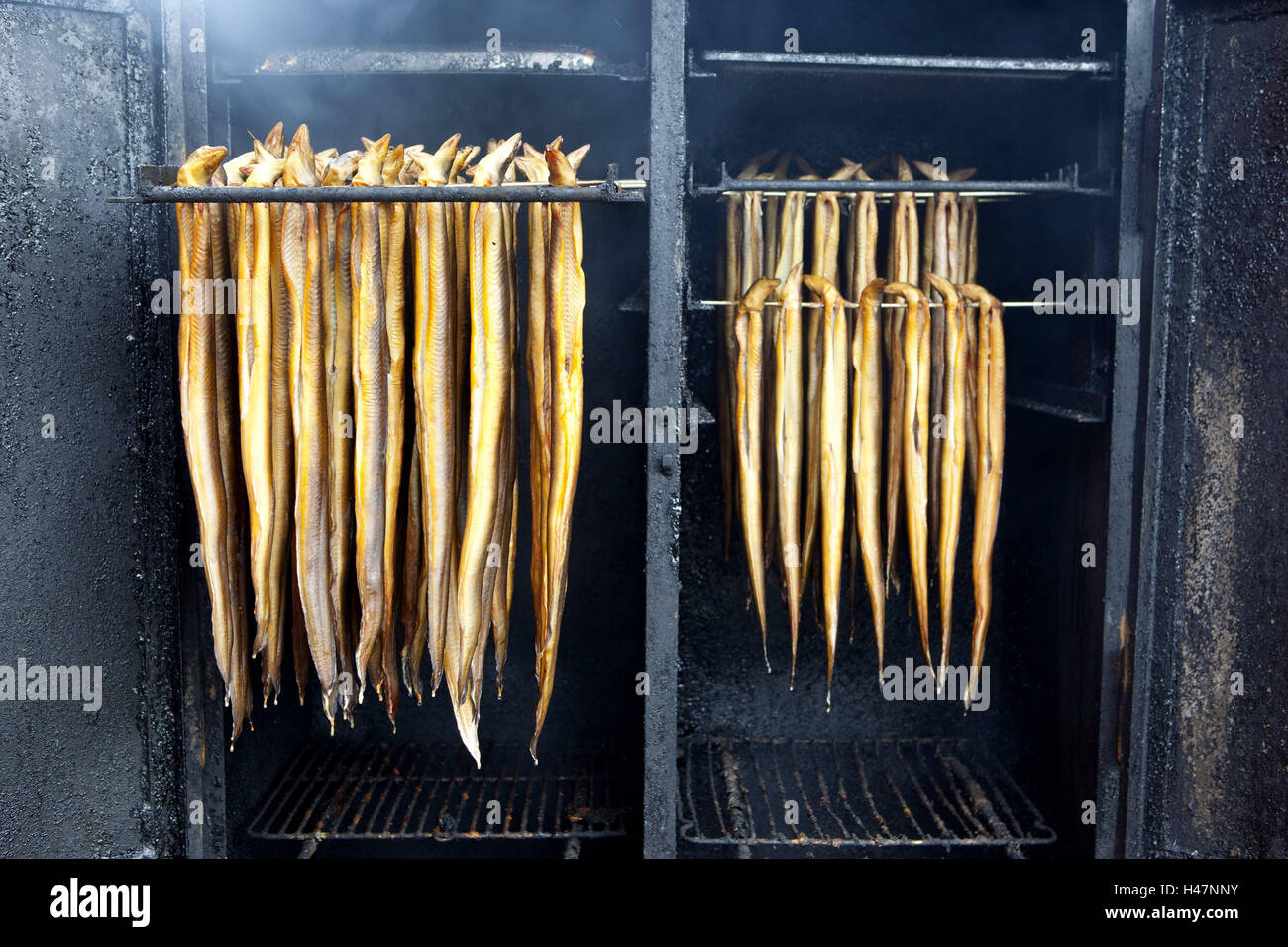Räucheraal, smoked eel, eel, fish, kiln, vapour, smoke, queue-shaped ...