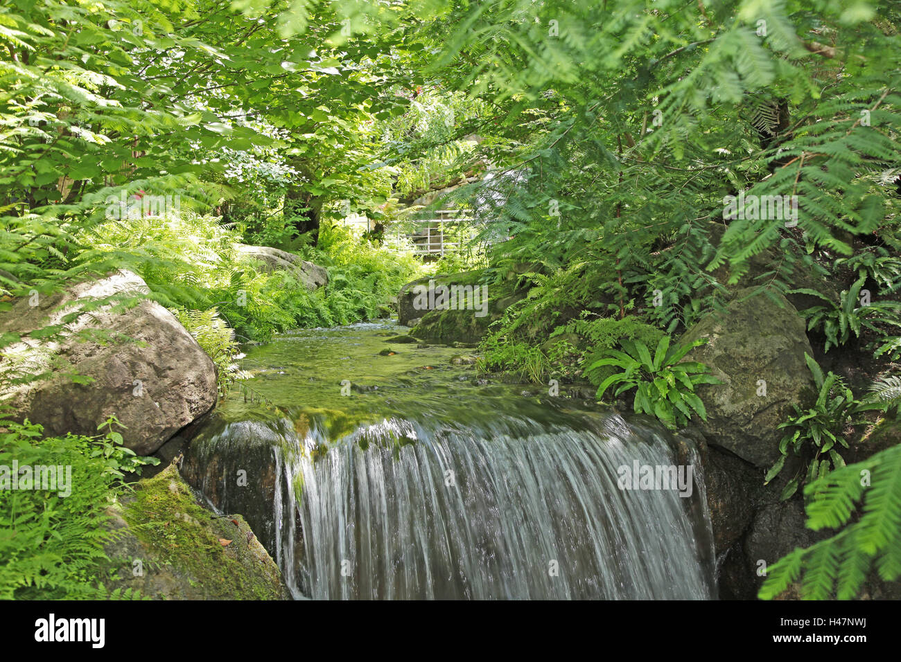 Brook, waterfall, bile lump, little brook, garden, garden, park, park ...