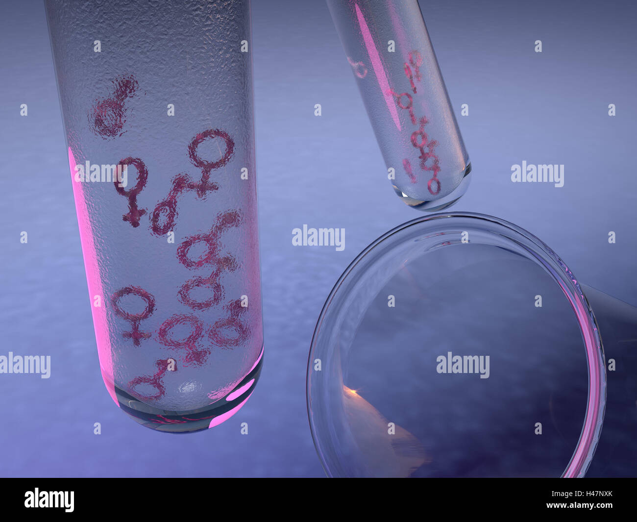 Fecundation hi-res stock photography and images - Alamy