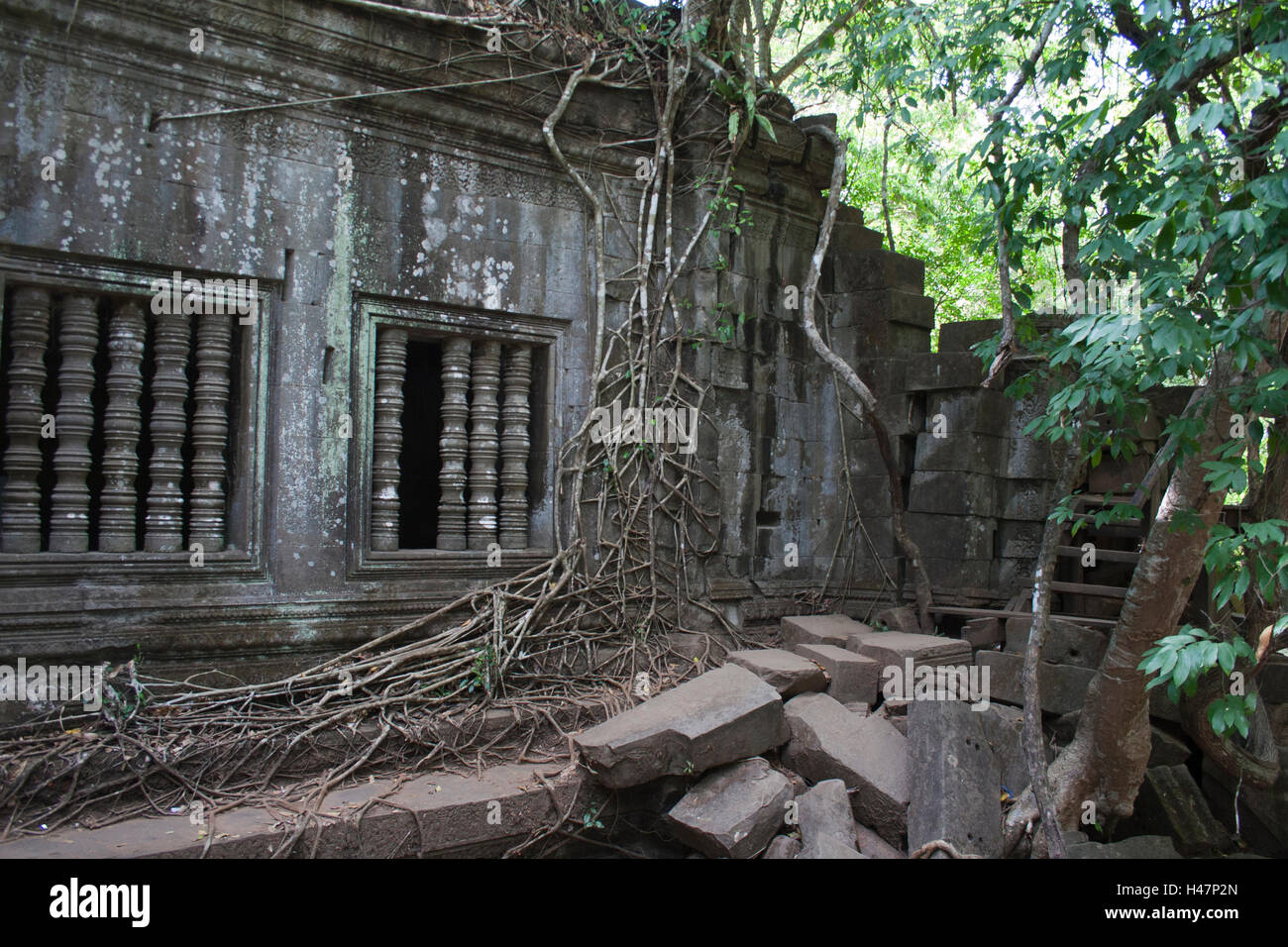 Temple Covered In Tree Roots High Resolution Stock Photography and ...