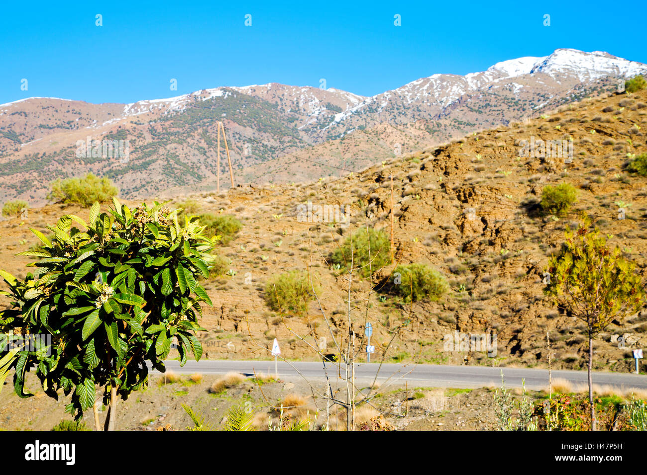 in ground africa morocco the bush dry atlas mountain Stock Photo - Alamy