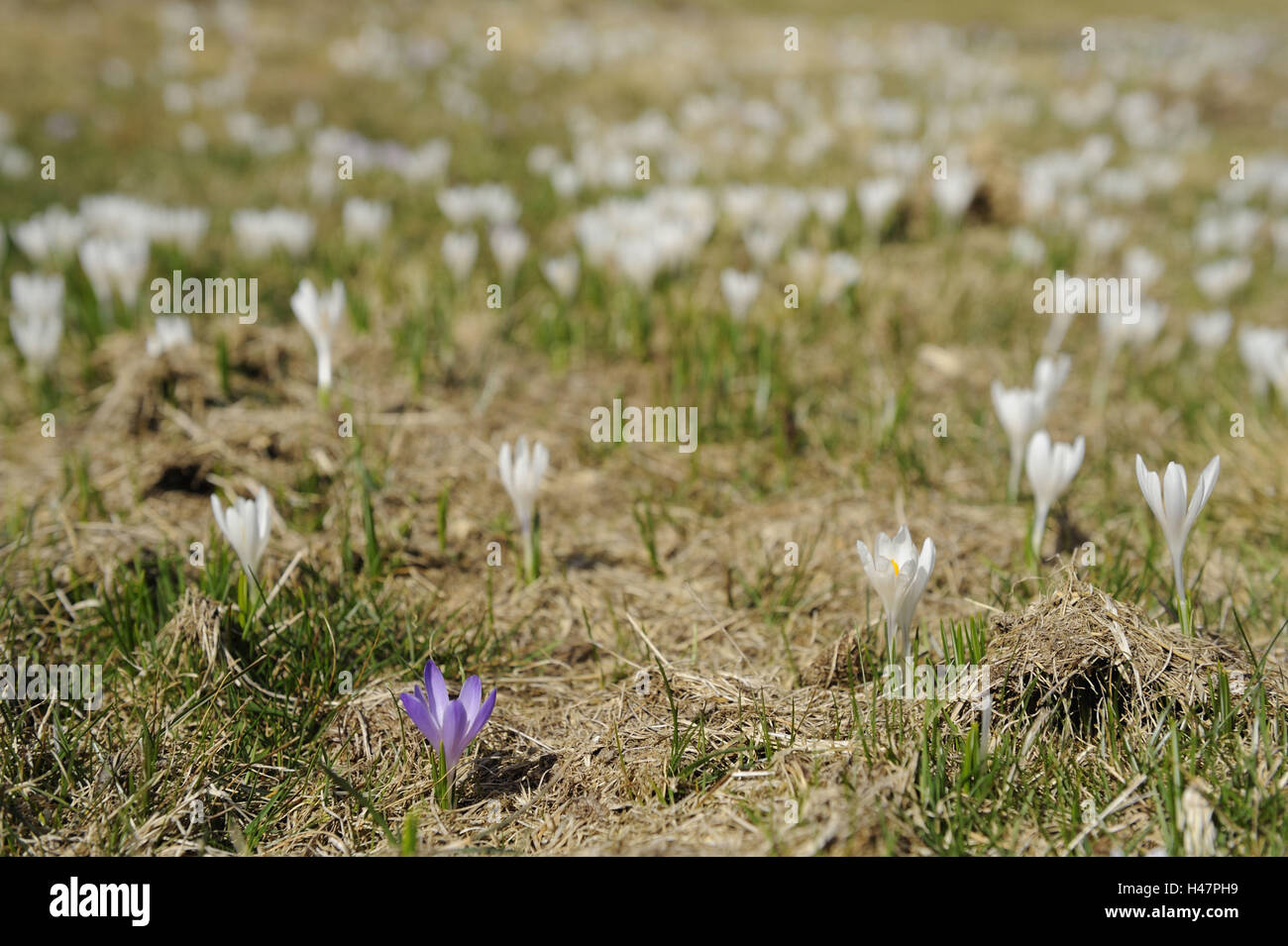 Idndividuell hi-res stock photography and images - Alamy