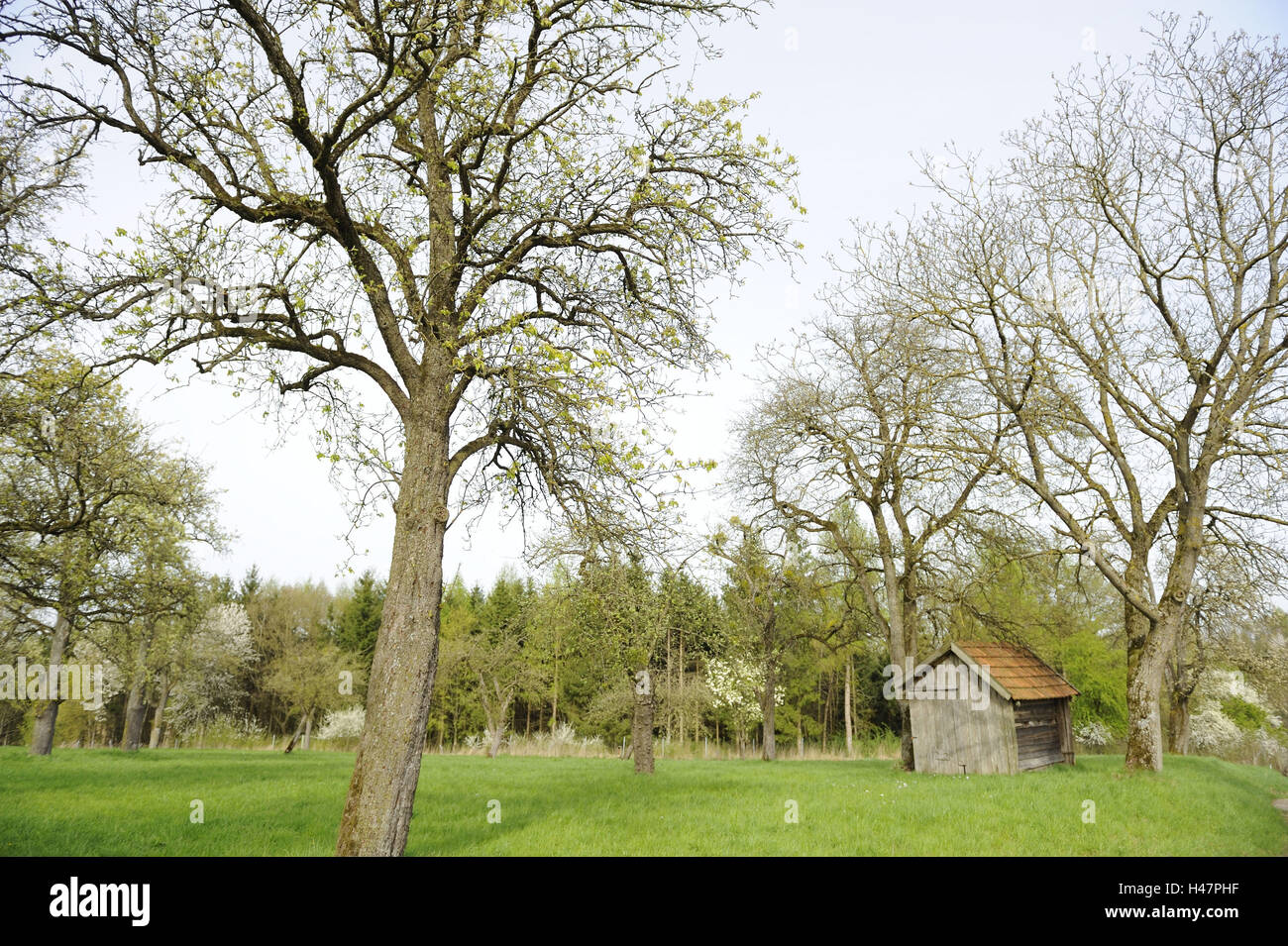 Orchard house hi-res stock photography and images - Alamy