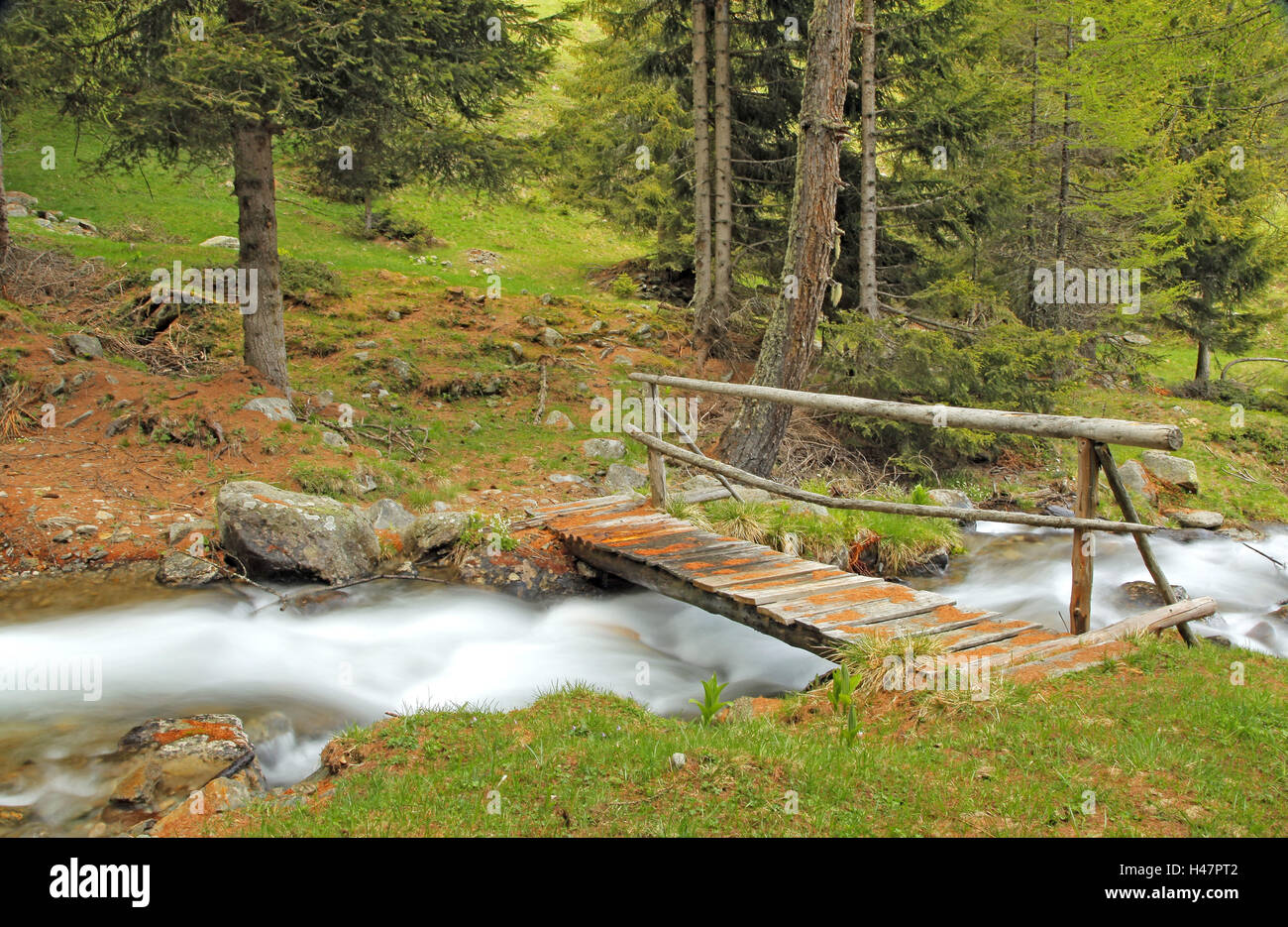 narrow bridge about mountain brook in the mountain wood Stock Photo - Alamy