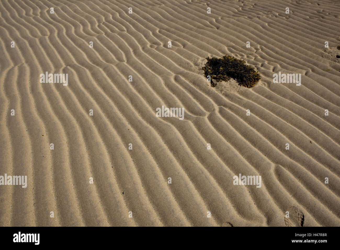 Sand, sample, structure Stock Photo - Alamy