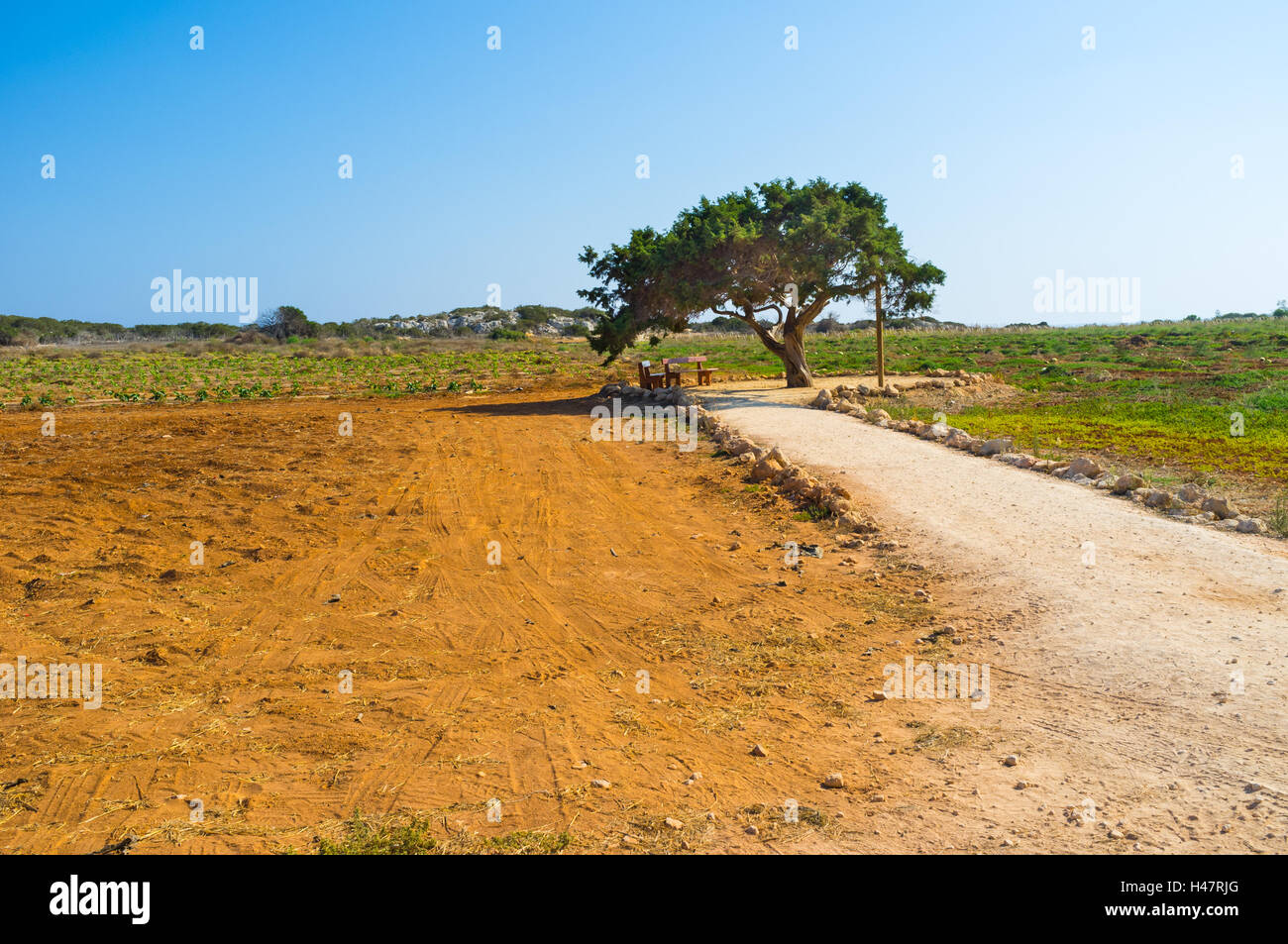 Bench under shade tree hi-res stock photography and images - Alamy