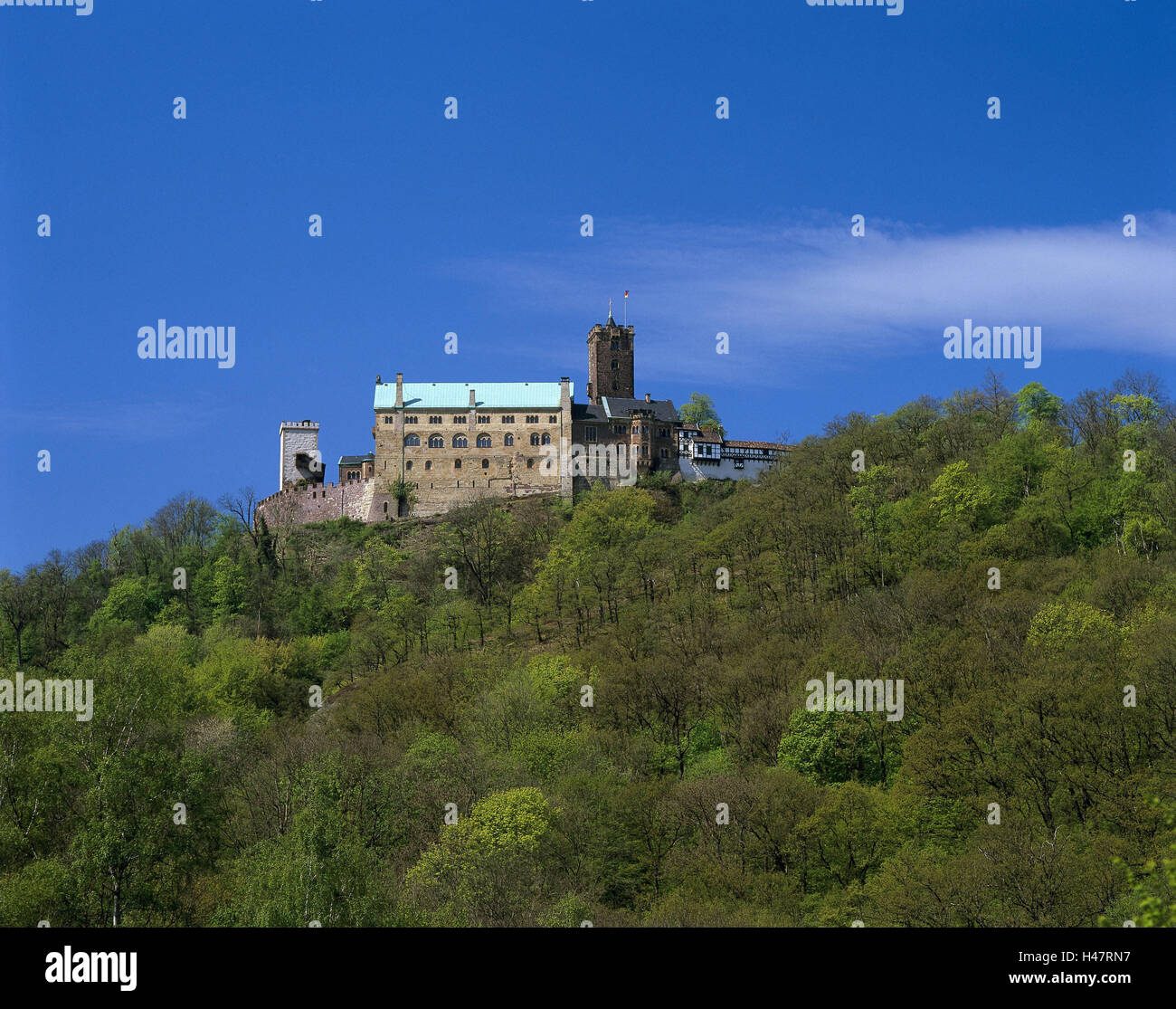Germany, Thuringia, Eisenach, Wartburg, hill, mountain, mountain Wart ...