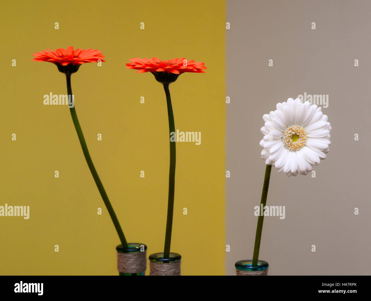 Rejection rejected reject hi-res stock photography and images - Alamy