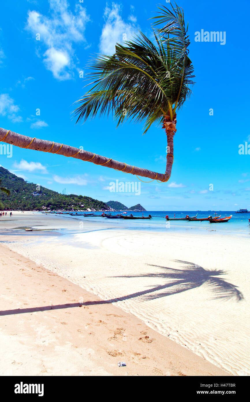 in kho tao thailand bay asia isle beach rocks pirogue palm and south ...