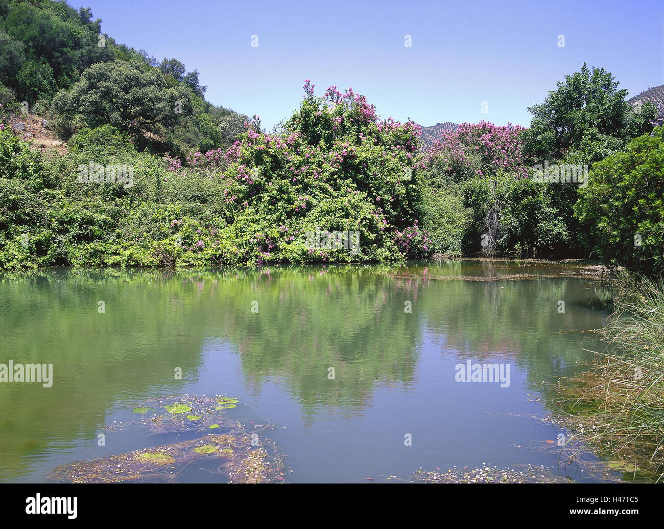 Spain, Andalusia, Sierra Morena, scenery, river, river, water, waters ...