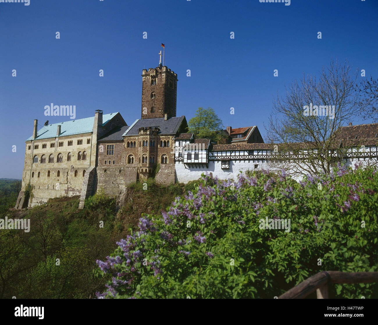 Castle wart hi-res stock photography and images - Alamy
