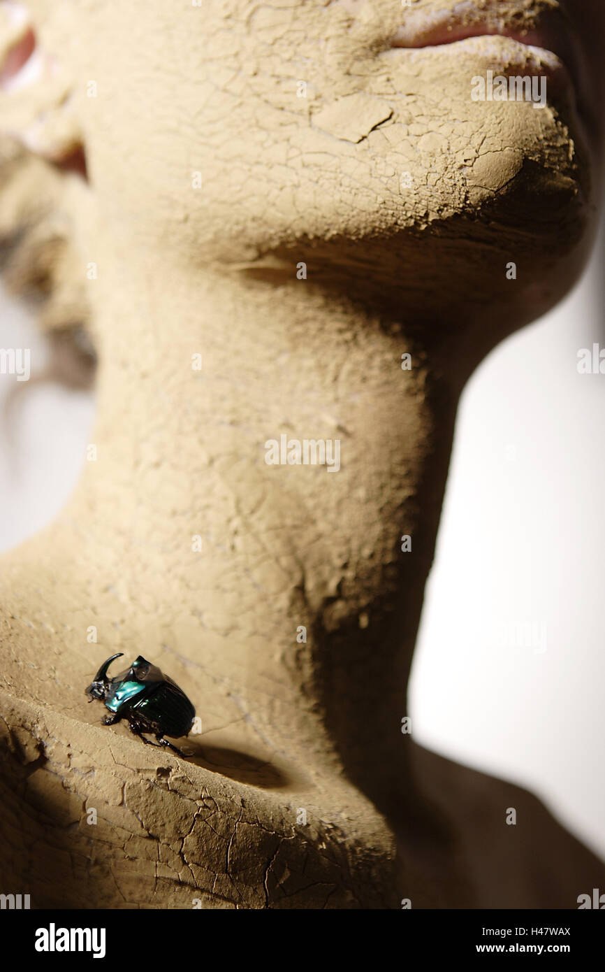 Woman, young, look, neck, shell, mask, parched, beetle, detail ...