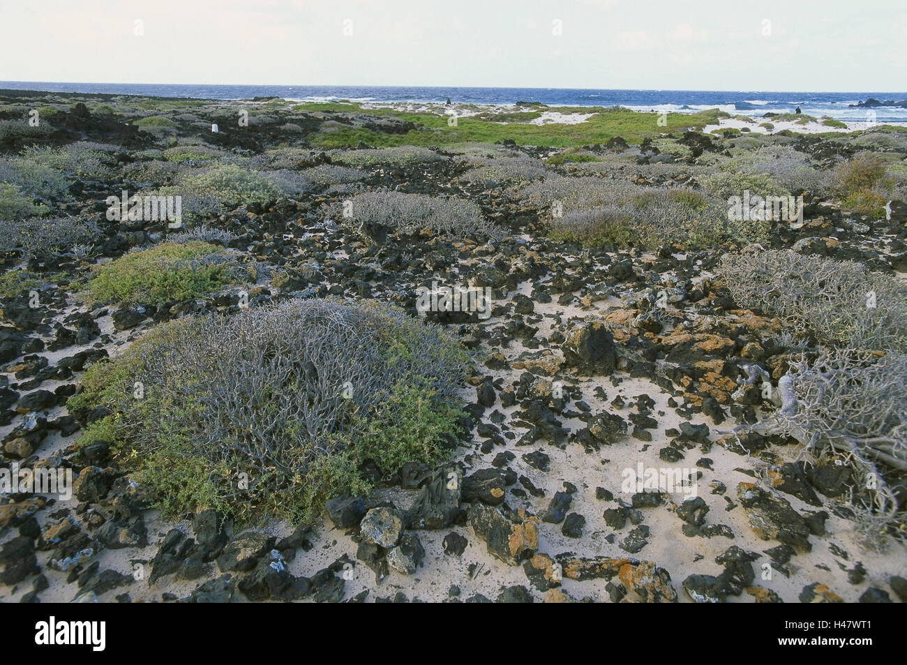 Spain, the Canaries, island Lanzarote, cal tone beaches, lava stones ...