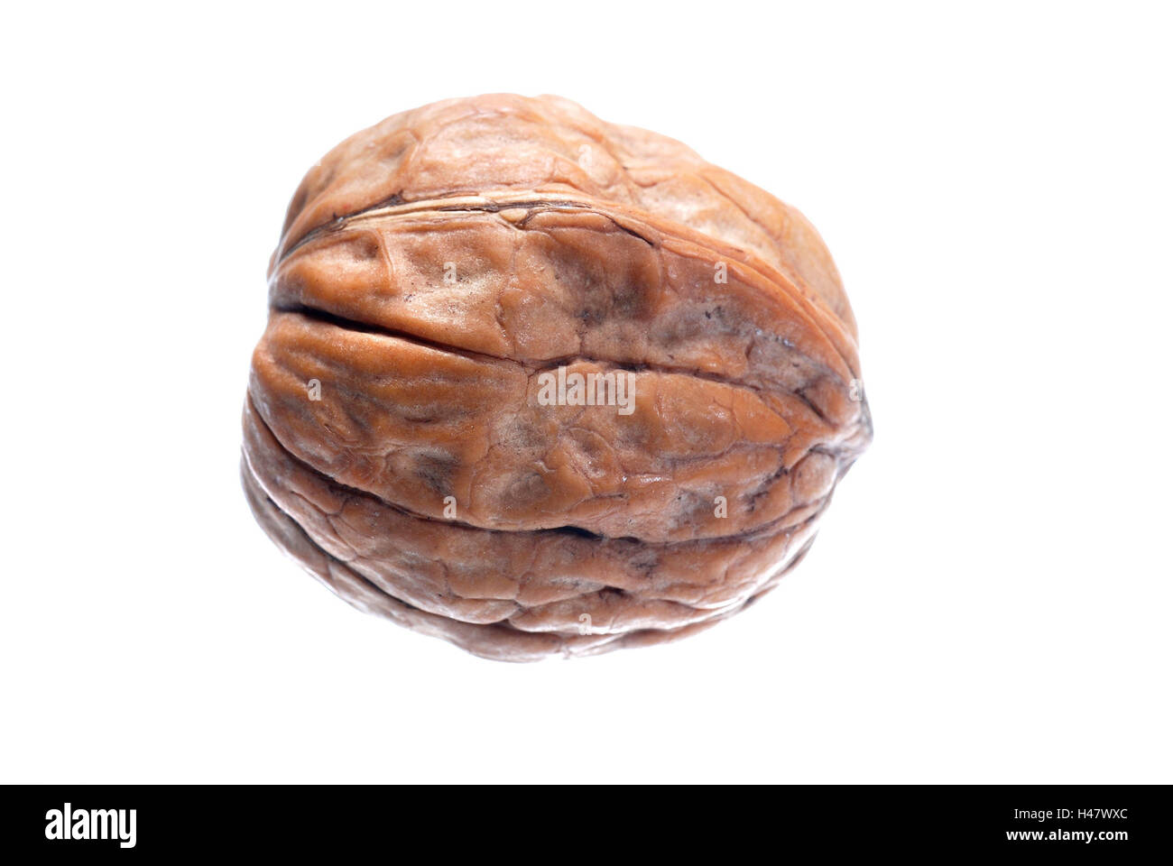 Walnut, completely, nut, stone fruit, semen, core, stone core, walnut ...