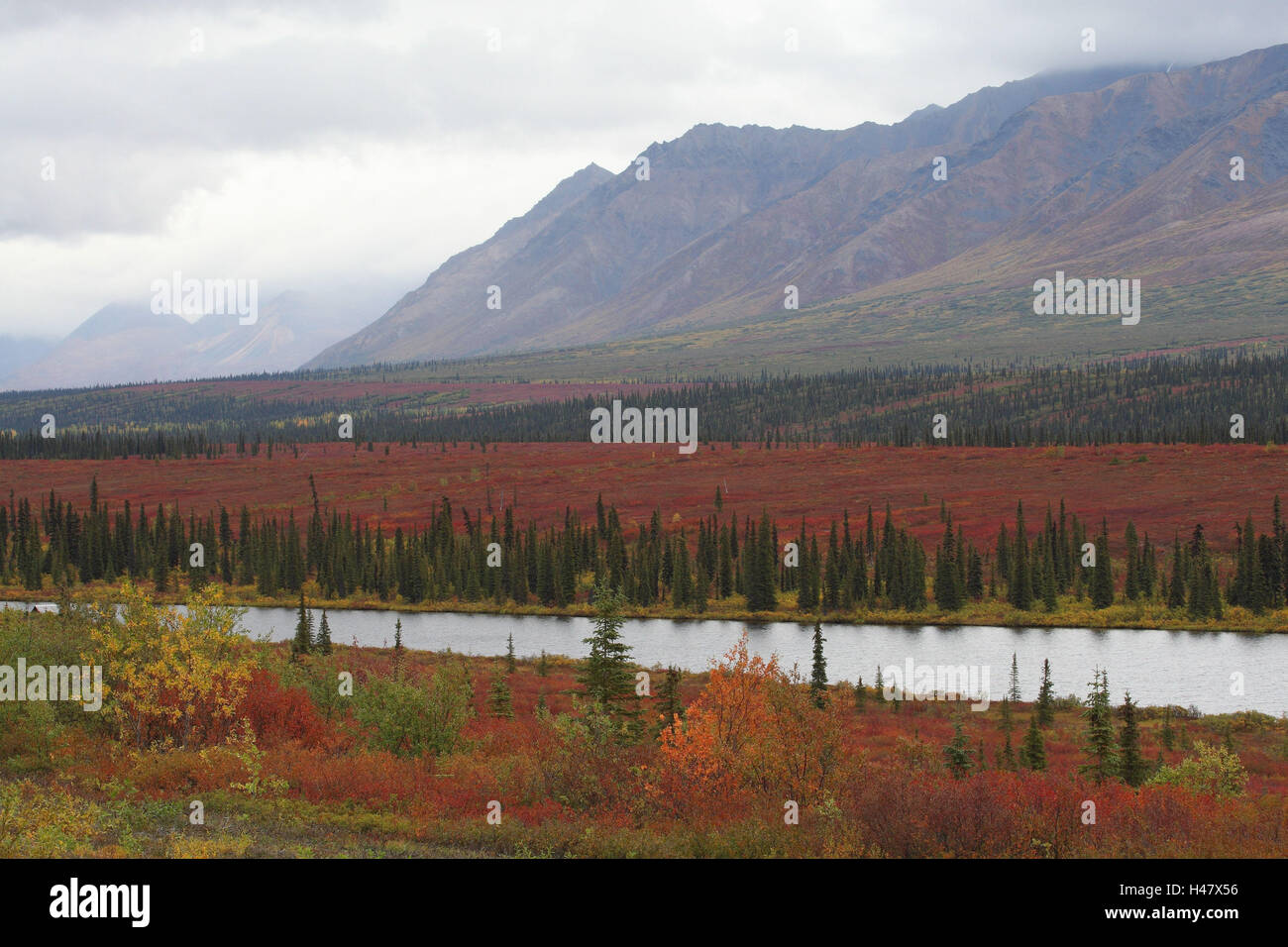 The USA, Alaska, scenery, trees, lakesides, nature, autumn Stock Photo ...