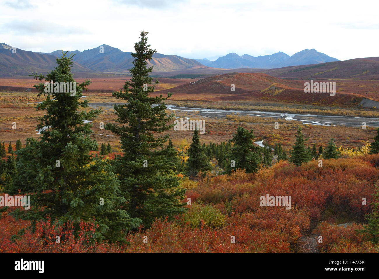 Denali nature hi-res stock photography and images - Alamy