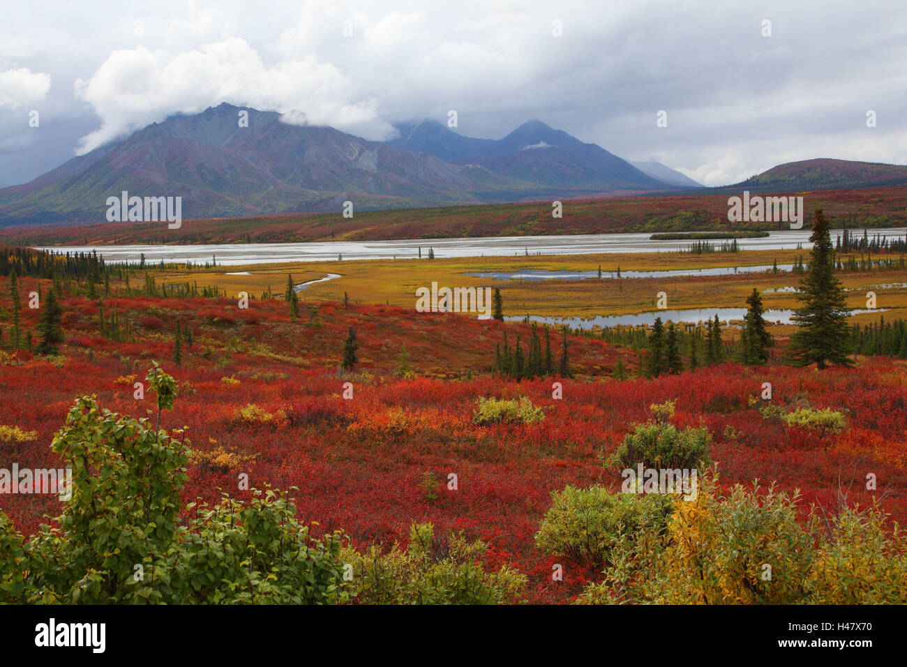 USA, Alaska, tundra, autumn Stock Photo - Alamy
