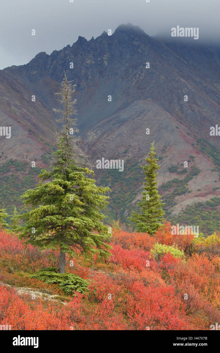 The USA, Alaska, scenery, mountains, nature, autumn Stock Photo - Alamy