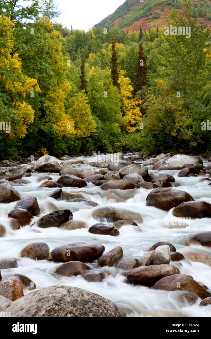 Alaska trees hi-res stock photography and images - Alamy