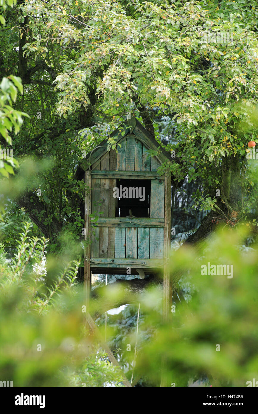 Fruit tree, tree house, window Stock Photo - Alamy