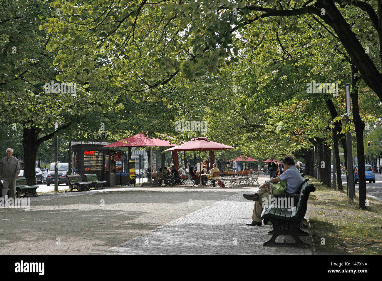 Germany, Berlin, under the lime-trees, avenue, lime trees, saddles ...