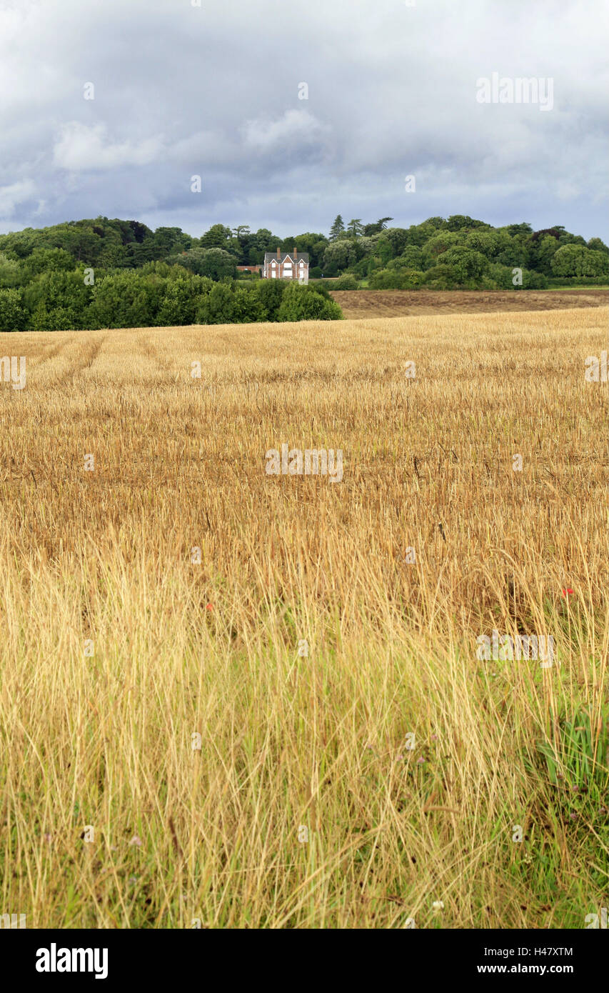 Great Britain, Norfolk, Castle Acre, field scenery, residential house ...
