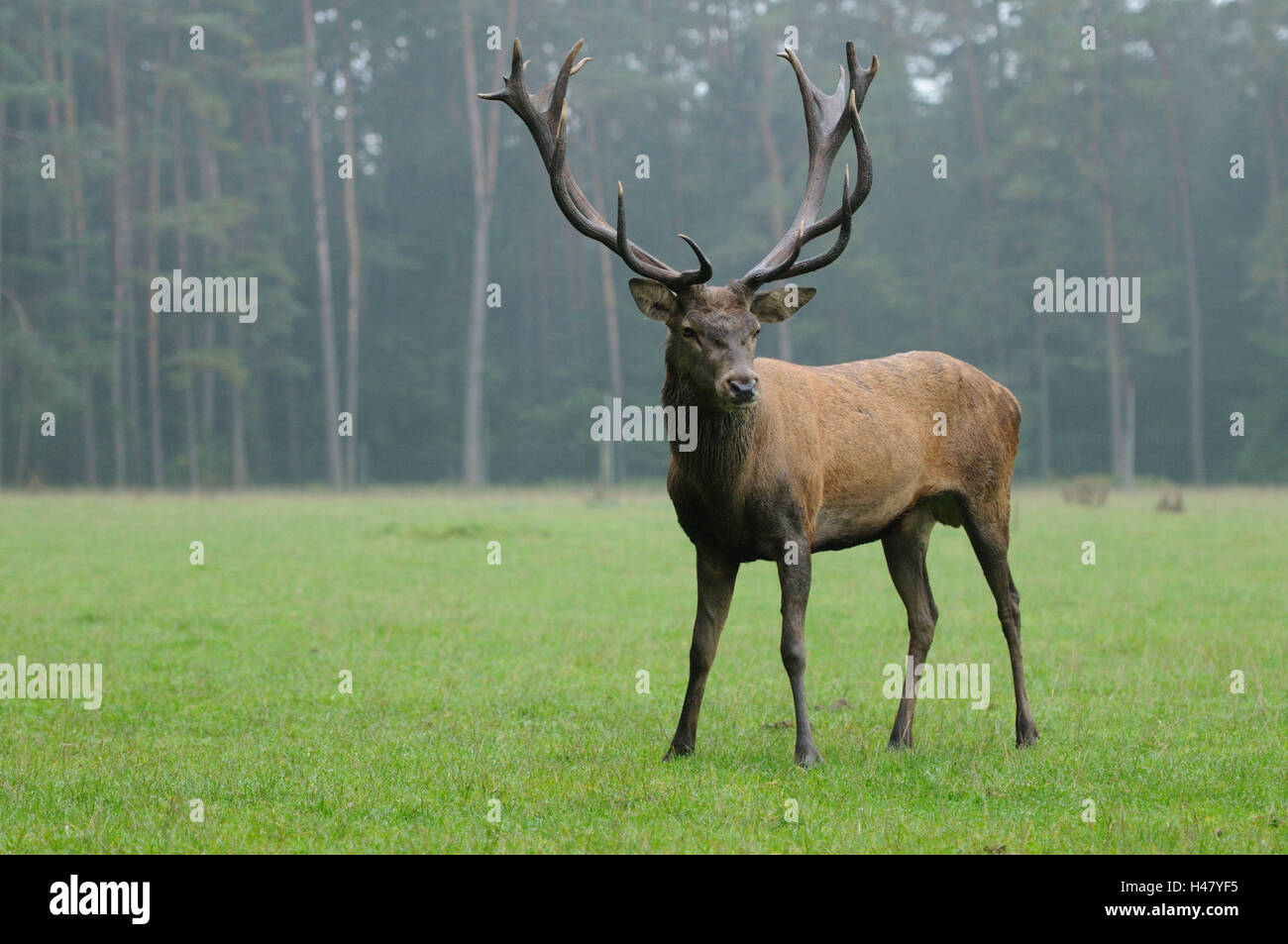 Stand by edge hi-res stock photography and images - Alamy