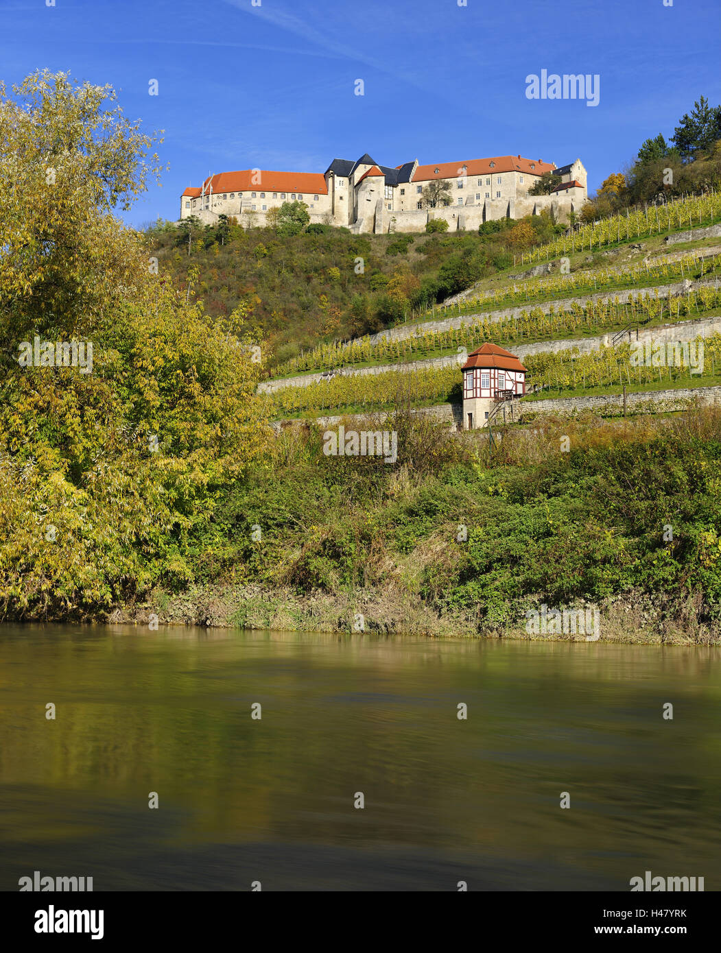 Germany, Saxony-Anhalt, castle Frey / Unstrut, ducal vineyard and ...