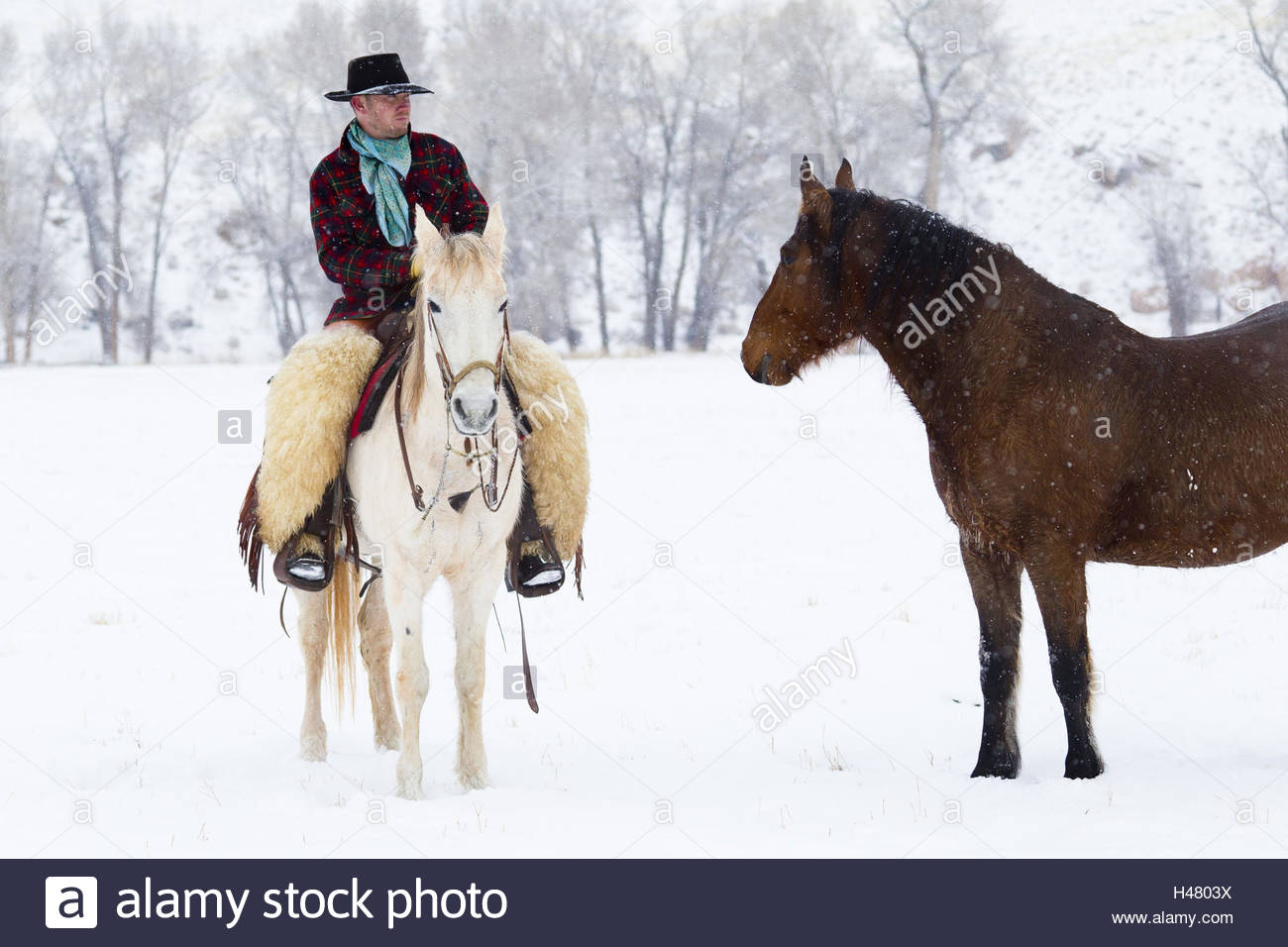 Fur Chaps High Resolution Stock Photography and Images - Alamy