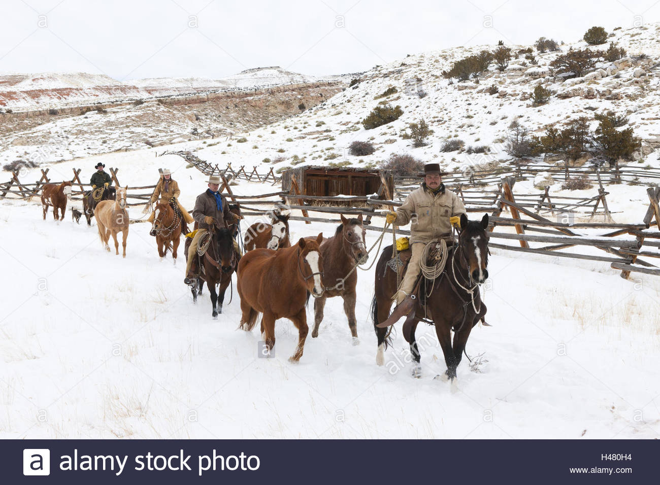 Horse Riding Over A Fence High Resolution Stock Photography and Images ...