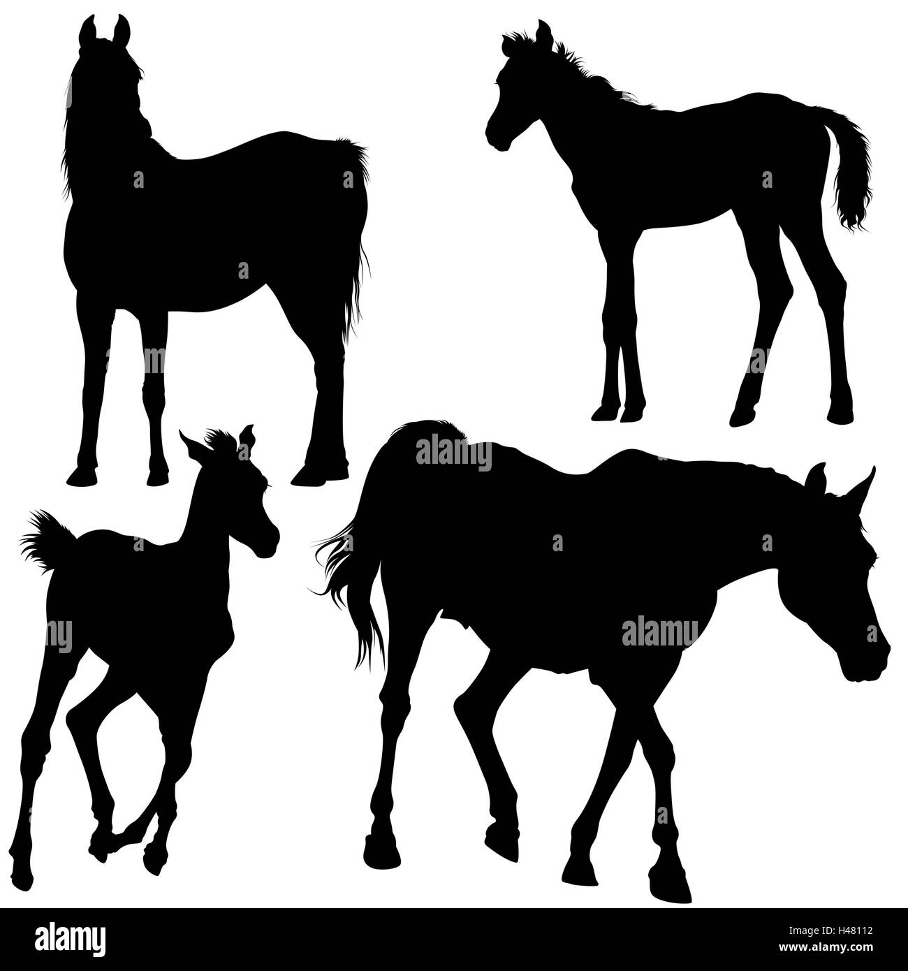Horse silhouettes Cut Out Stock Images & Pictures - Alamy