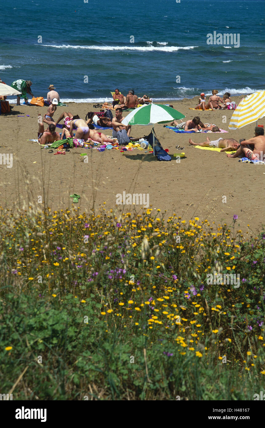 Golfo tu baratti hi-res stock photography and images - Alamy