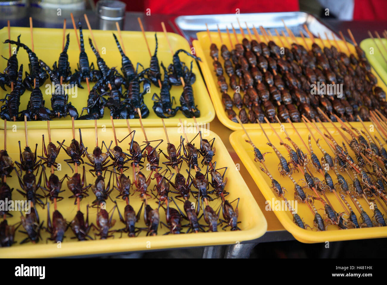 China, Peking, Wangfujing Daijie, street snack, tablet, scorpions ...