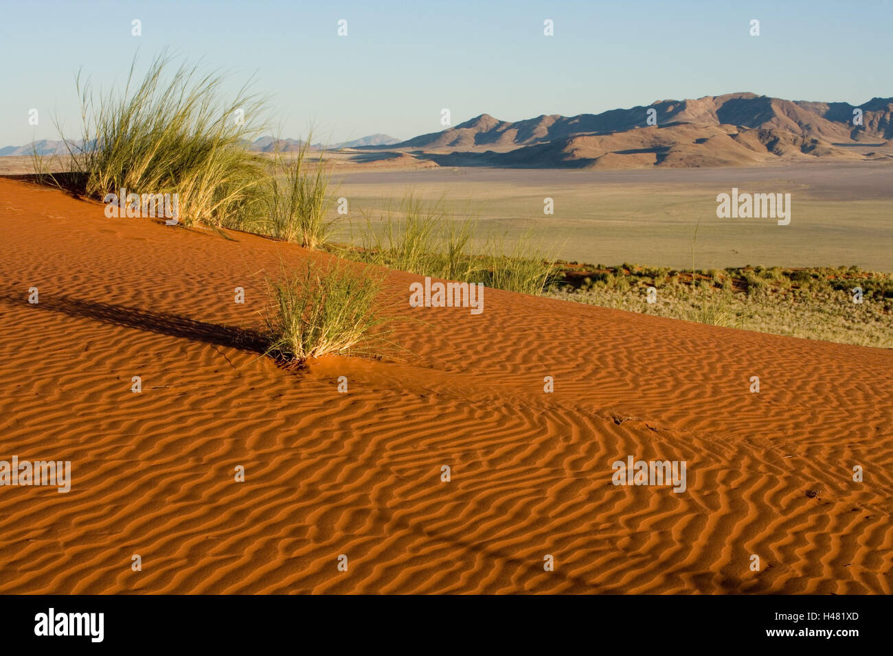 Namib margin nature reserve hi-res stock photography and images - Alamy