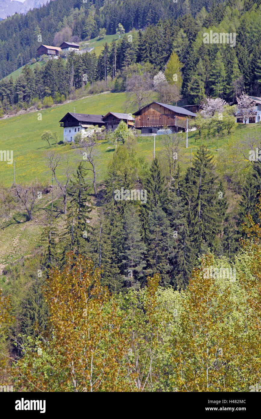 South Tyrolean mountain farms Stock Photo - Alamy