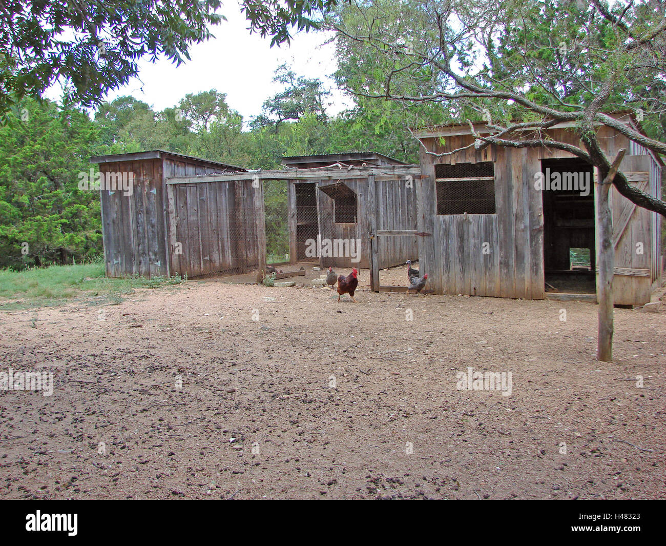 Old chicken coop hi-res stock photography and images - Alamy