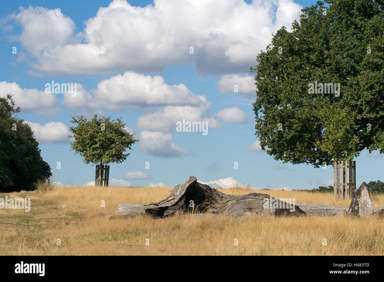 Serene open air hi-res stock photography and images - Alamy