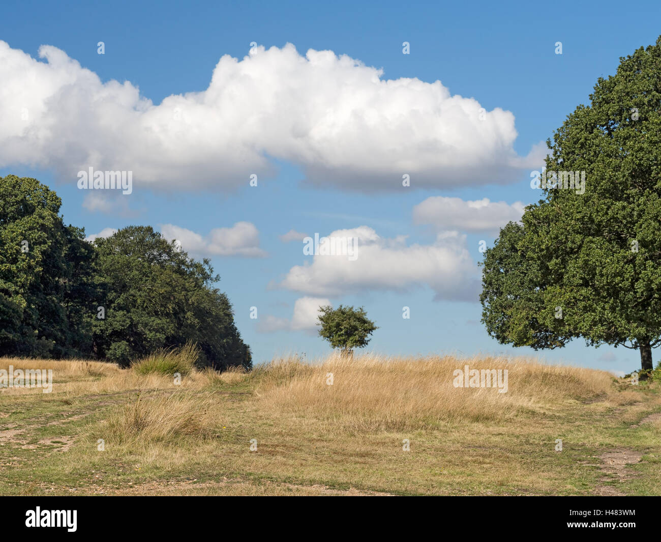 Beautiful open landscape with great clouds Stock Photo - Alamy