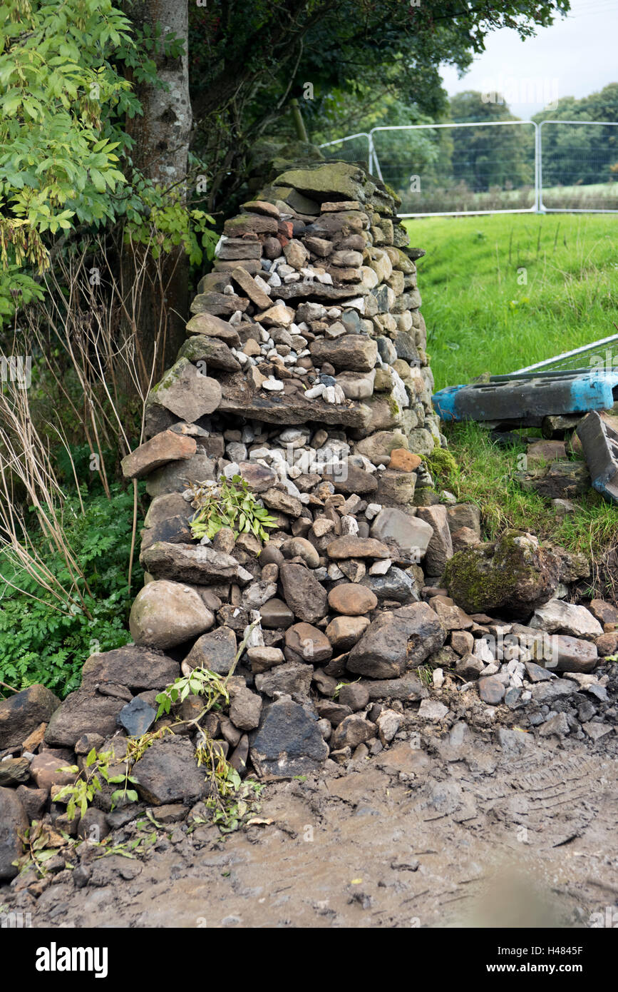 Damaged dry stone wall, showing its construction, Settle, North ...