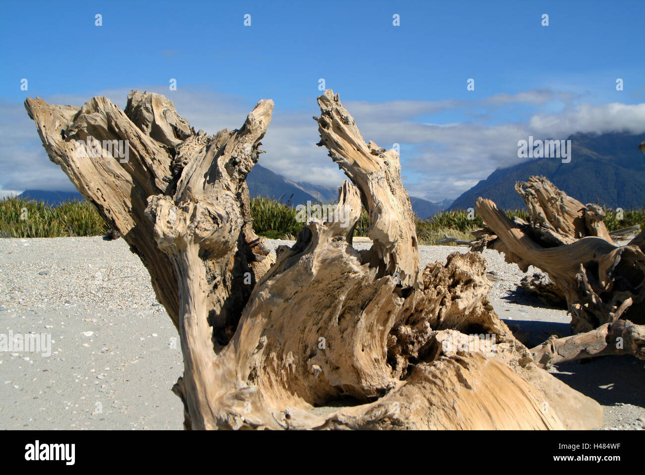New Zealand, south island, west coast, Haast Beach Stock Photo - Alamy
