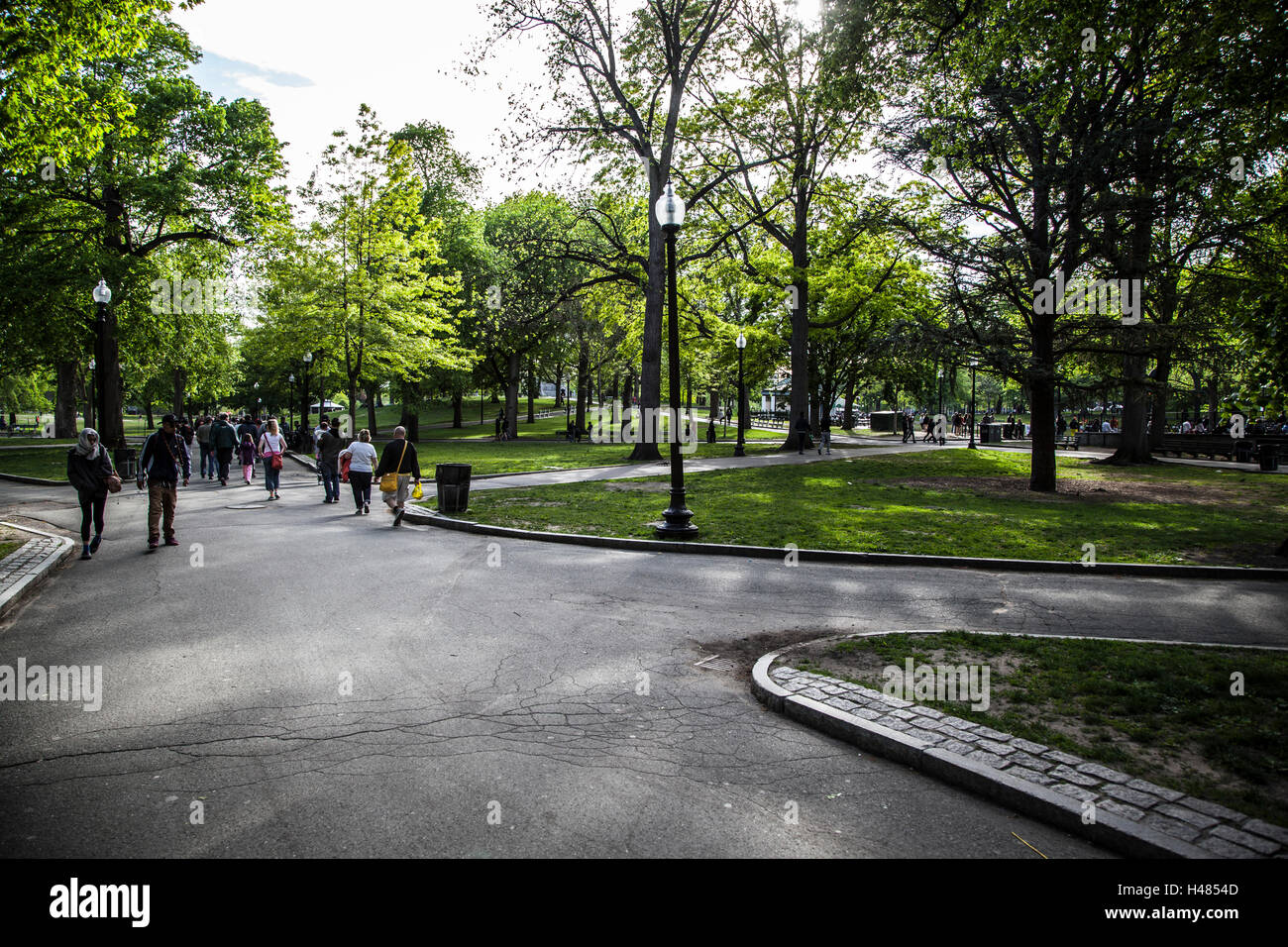 Boston common park modern hi-res stock photography and images - Alamy
