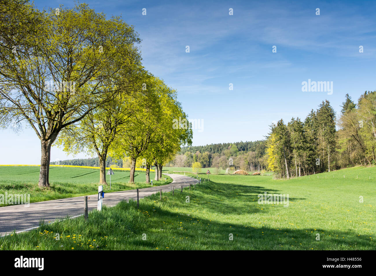 Landscape along country road hi-res stock photography and images - Alamy