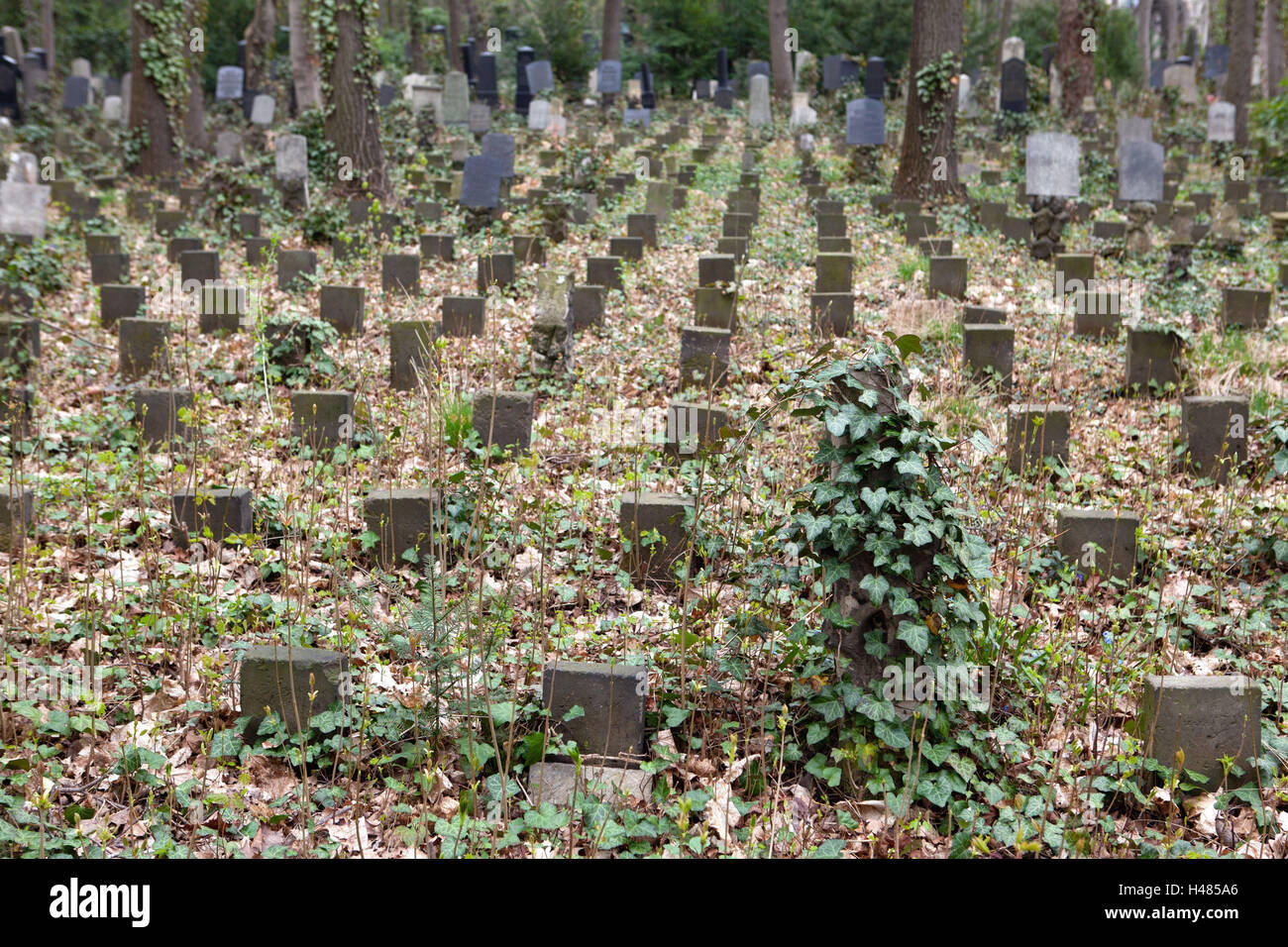 Jewish cemetery, Berlin-white lake Stock Photo - Alamy