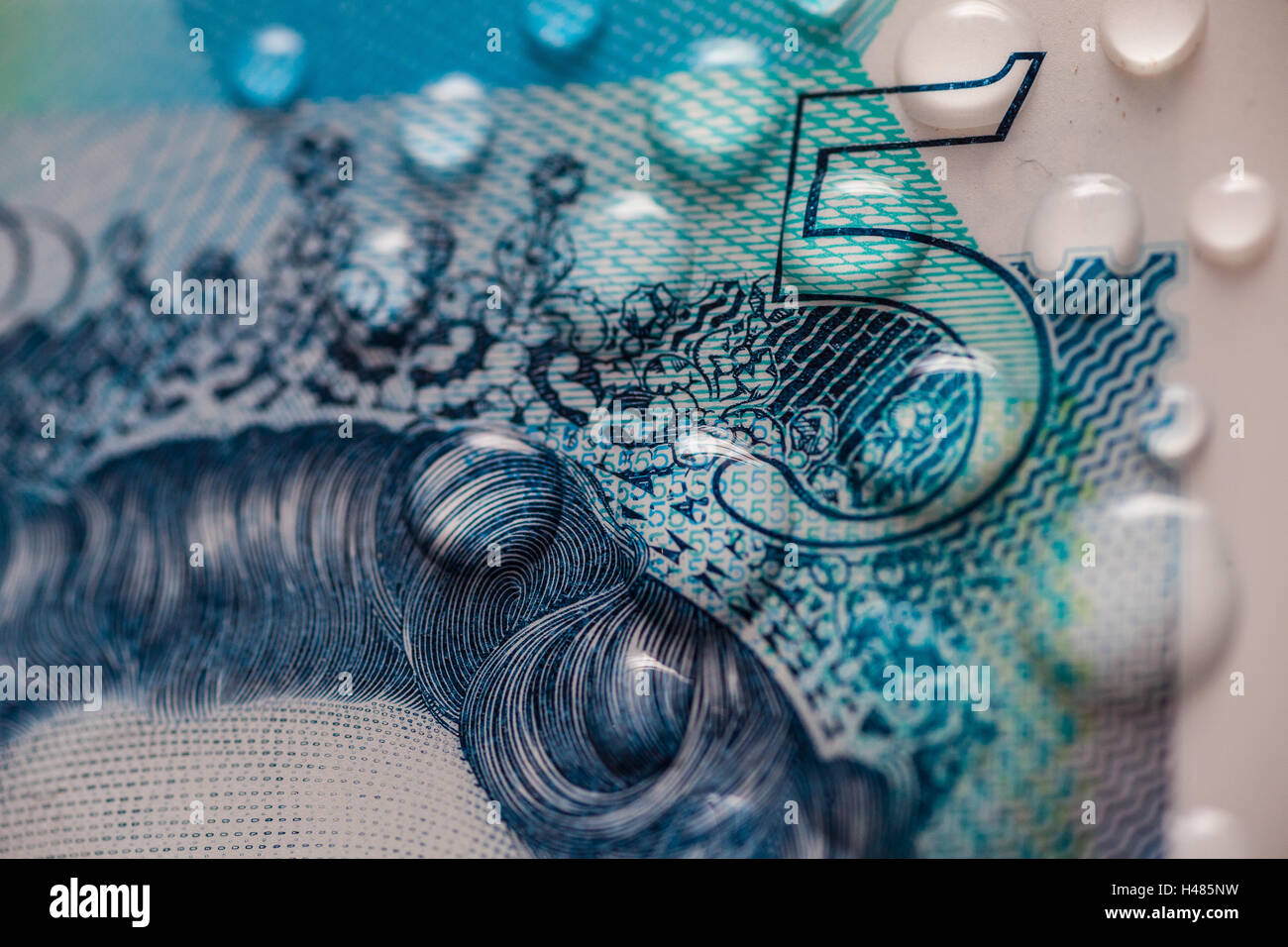 New United Kingdom five pound note. Water droplets showing its plastic ...