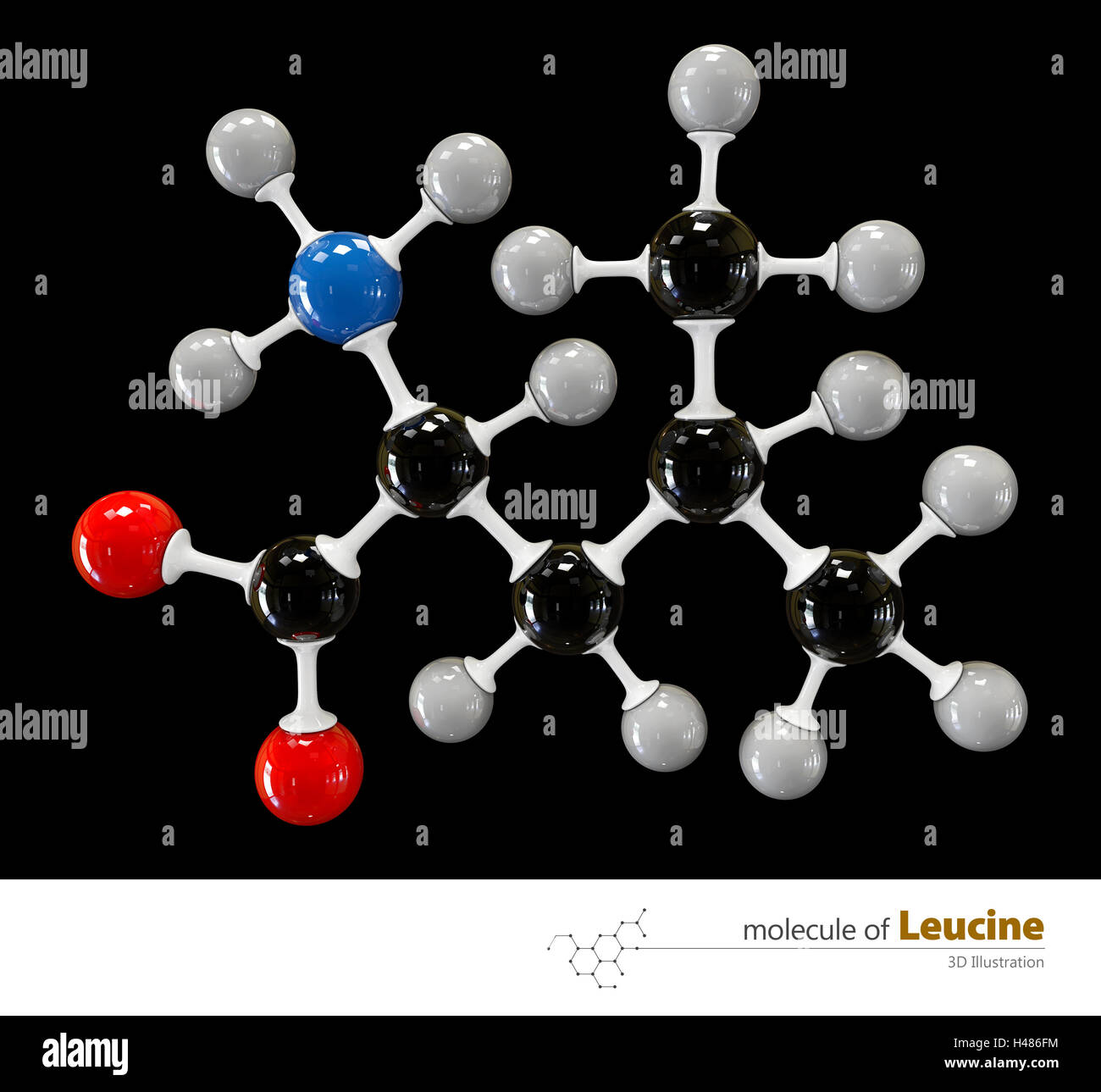 3d Illustration of Leucine Molecule isolated black background Stock ...