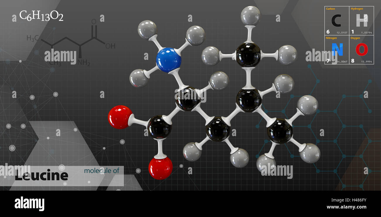 3d Illustration of Leucine Molecule isolated dark background Stock ...