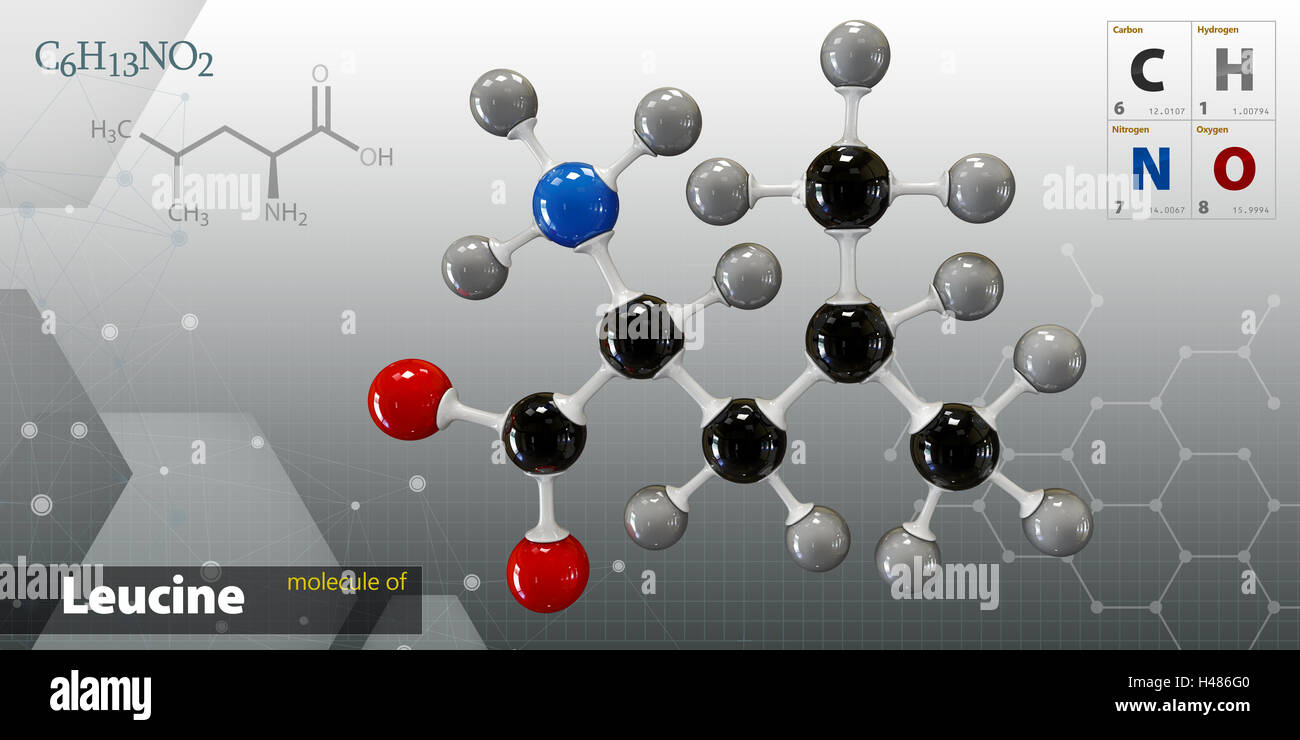 3d Illustration of Leucine Molecule isolated gray background Stock ...