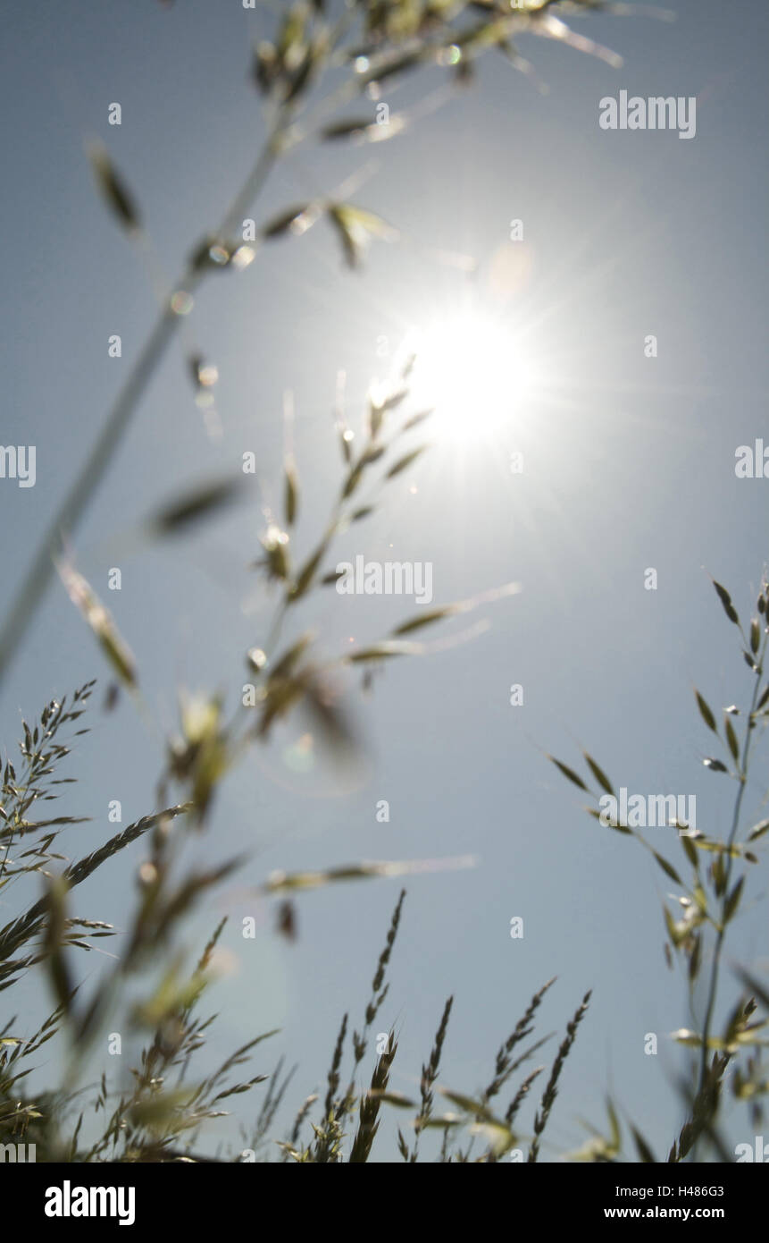 Light sunrays hi-res stock photography and images - Alamy