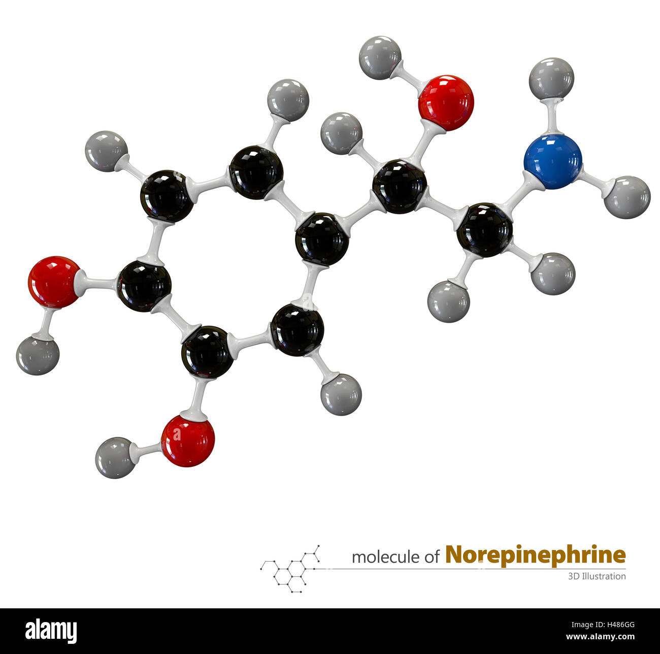 3d Illustration of Norepinephrine Molecule isolated white background ...