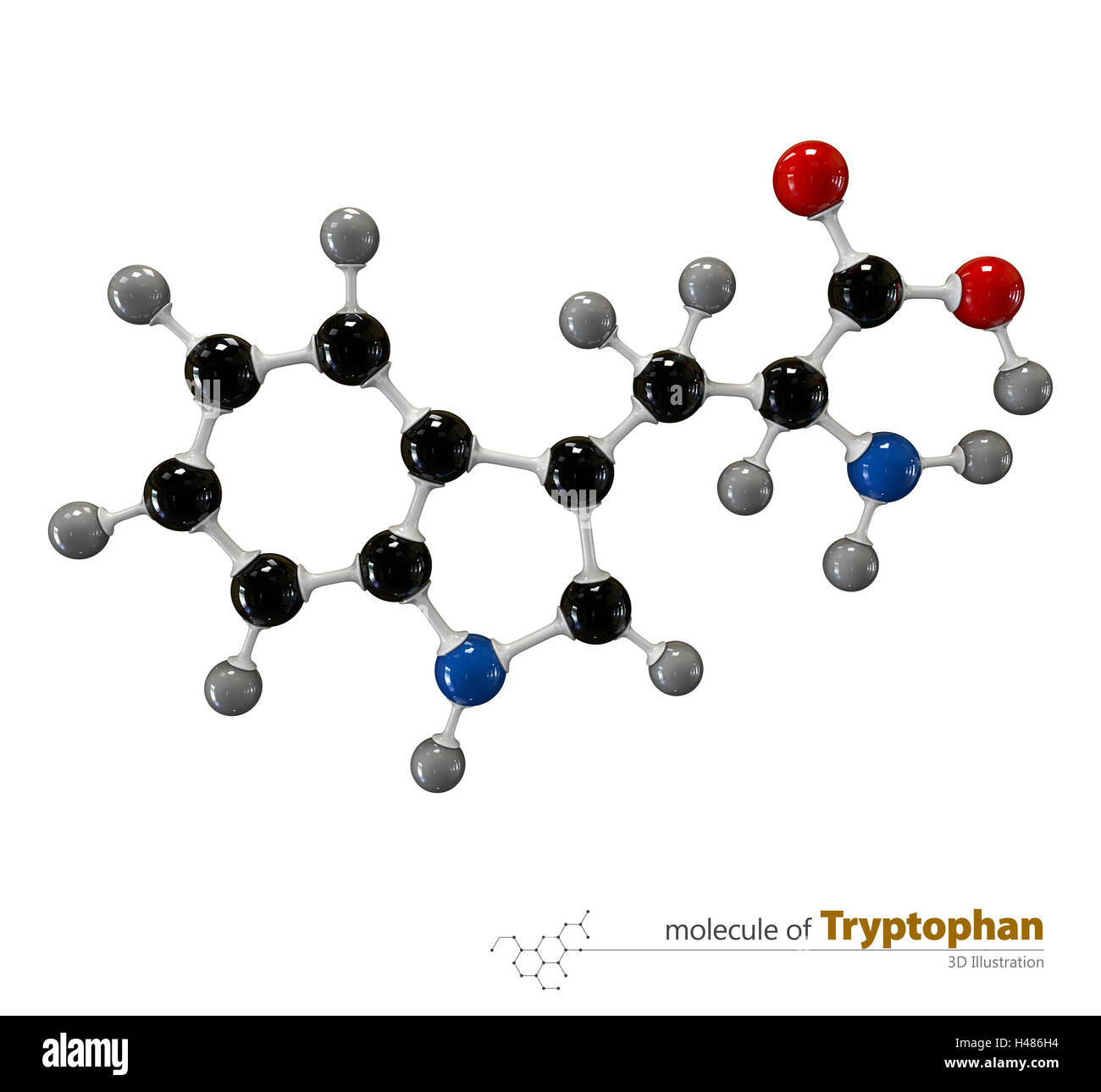 3d Illustration of tryptophan Molecule isolated white background Stock ...